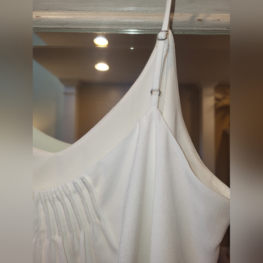 Ecu- Naked Zebra Dress - Gem